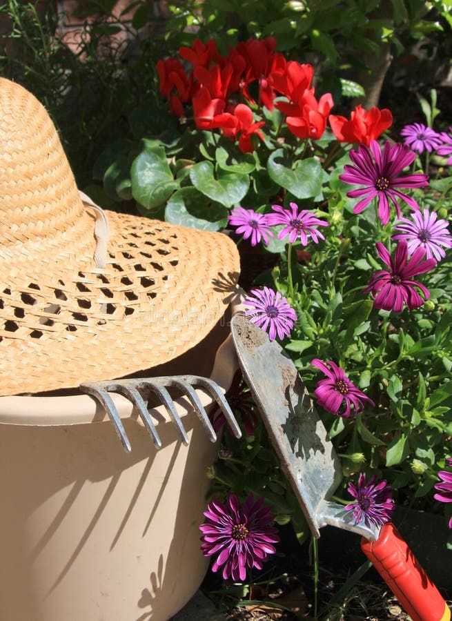 Garden tools and flowers stock image. Image of relaxation - 24193265