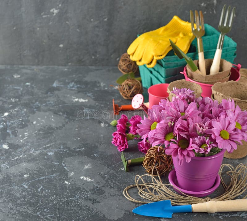 Garden tools and flowers stock image. Image of gardening - 114277073