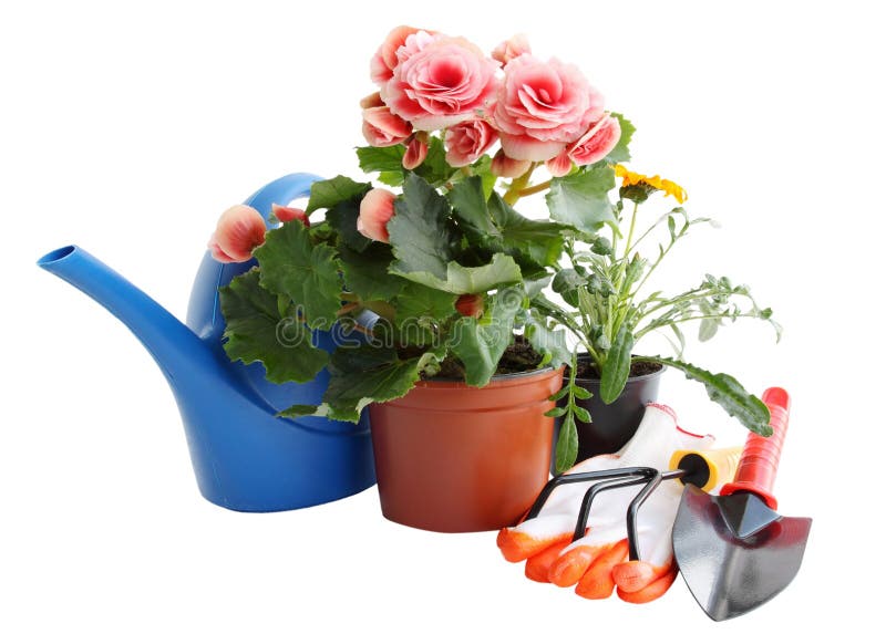 Garden tools and flowers stock photo. Image of objects - 39748934