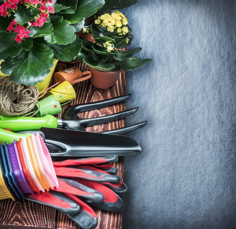Garden Tools and Flowers on the Table on a Black Background Stock Image ...