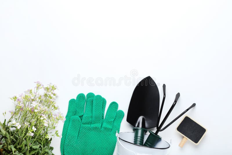 Garden tools with flowers stock photo. Image of fabric - 207969370