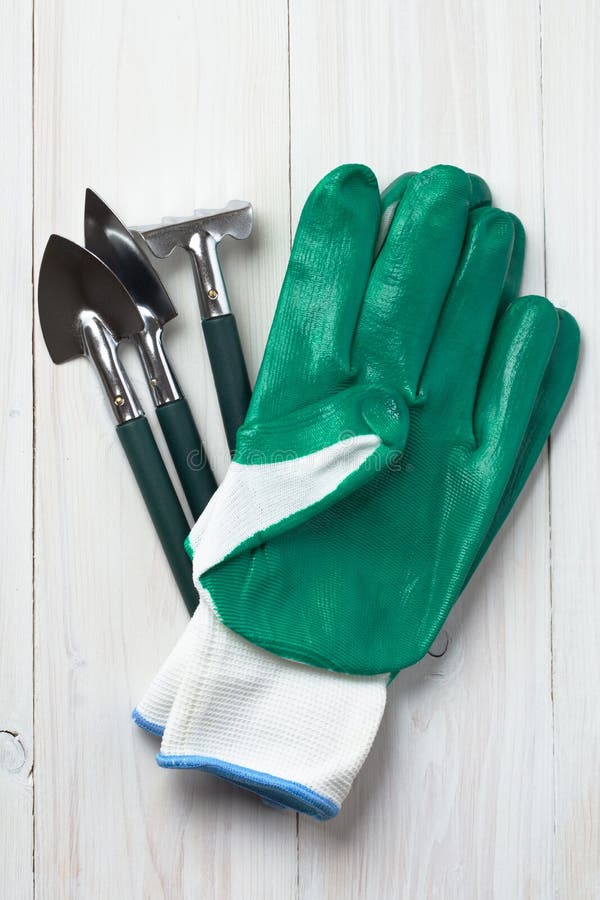 Garden tools and gloves stock photo. Image of bloom, gloves - 29242498