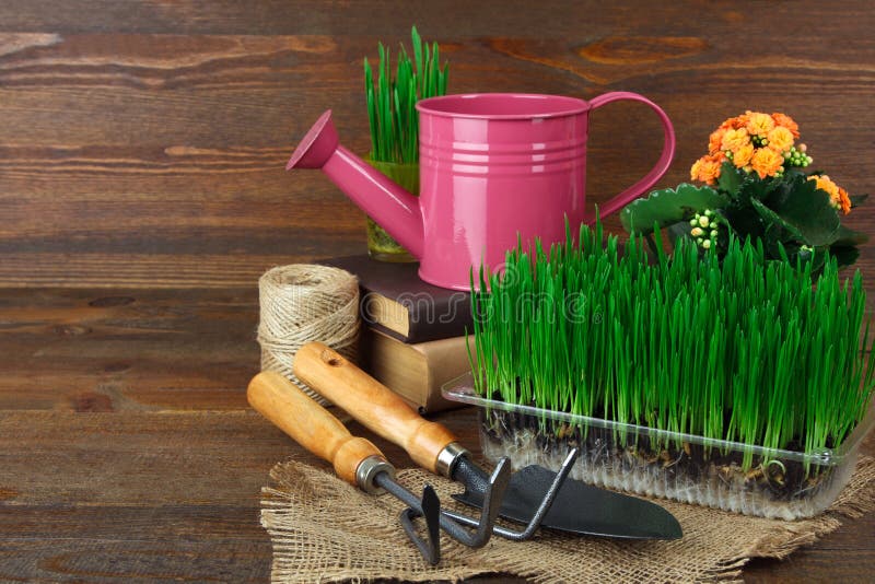 Garden tools stock photo. Image of backgrounds, gardening - 69818504