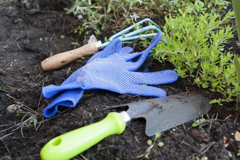 Garden Tools and Fabric Gloves on the Ground Near Plants. Spring ...