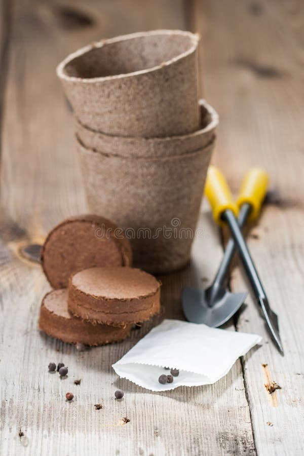 Man Digging in Vegetable Garden Stock Photo - Image of green, garden ...