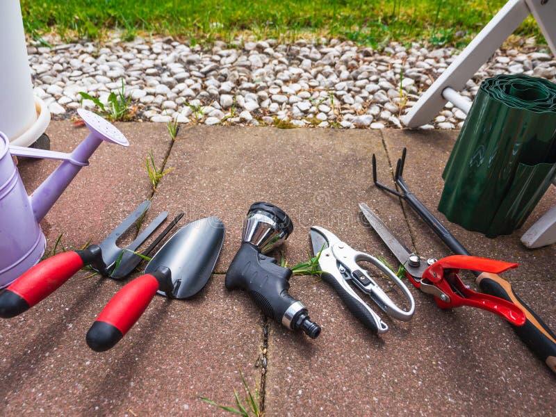Garden tools with plants stock image. Image of environment - 180790033