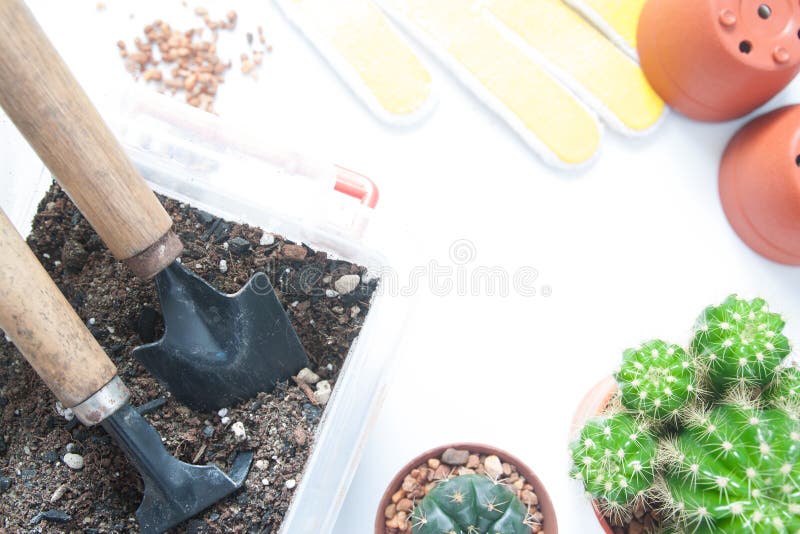 Garden Tools with Pot of Cactus on White Background Stock Image - Image ...