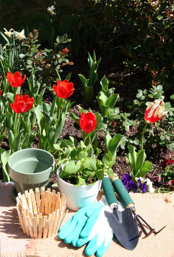 Garden Tools and Spring Flowers Stock Photo - Image of nature, grow ...