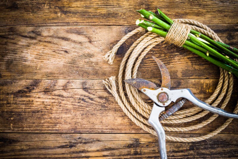 Garden Tools and Rope on the Wooden Table. Stock Photo - Image of ...