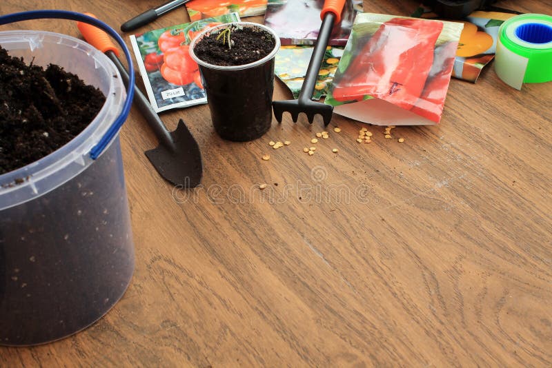 Garden Tools, Sachets of Vegetable Seeds, Bucket of Soil and Sprout in ...