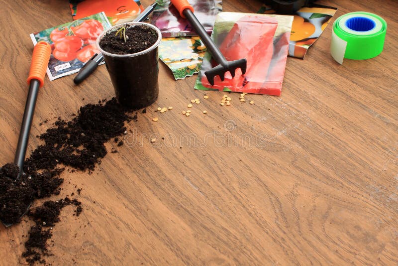 Garden Tools, Sachets of Vegetable Seeds, Scattered Soil and Small ...