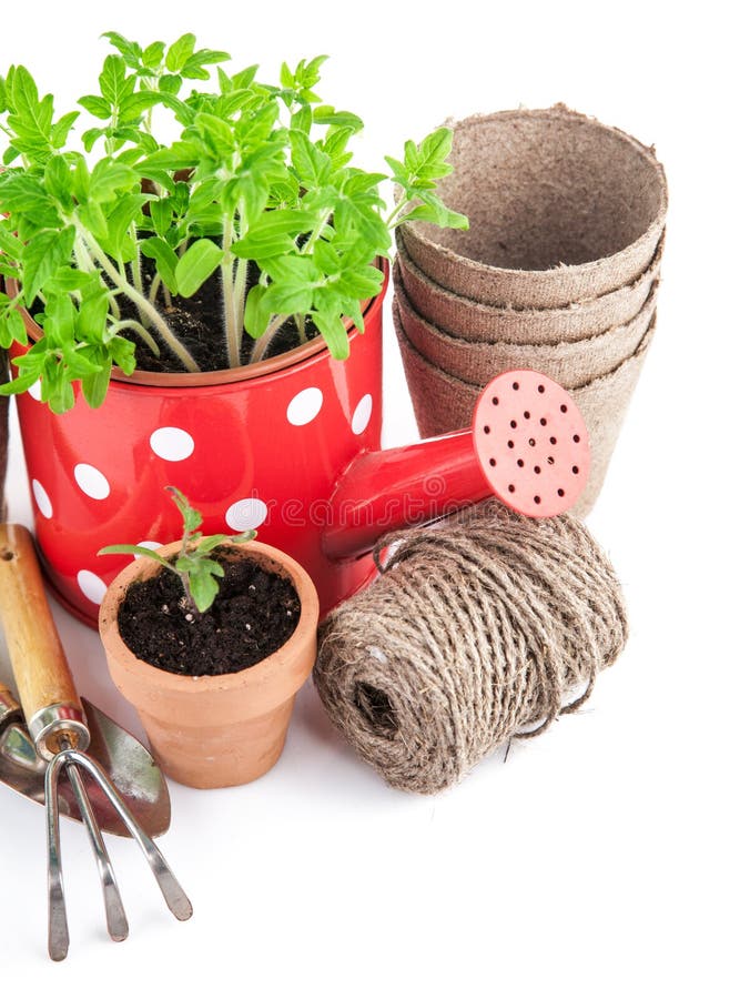 Garden Tools with Seedlings Vegetable Stock Image - Image of cultivated ...