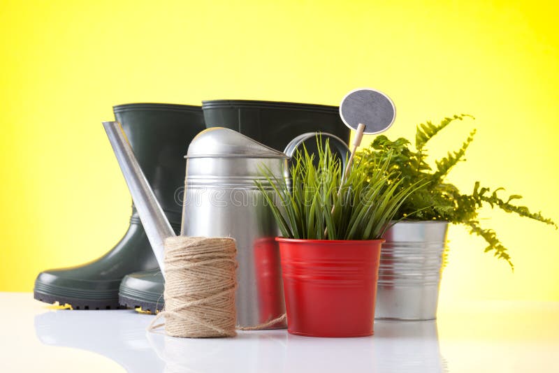 Garden tools stock photo. Image of digging, botanical - 38874558