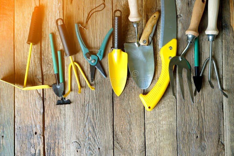 Garden Tools Set on the Wooden Terrace Stock Image - Image of care ...