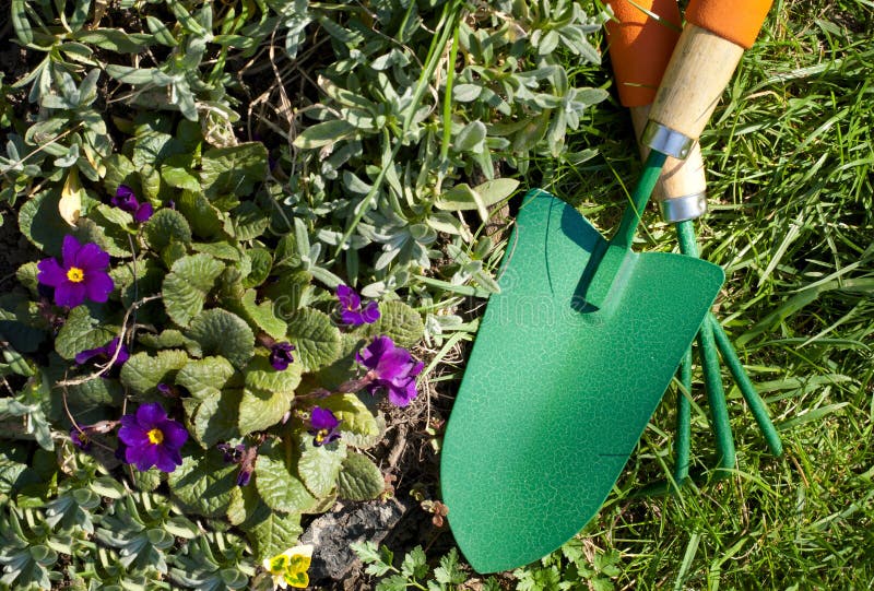 Garden tools stock photo. Image of flora, green, fork - 30905444