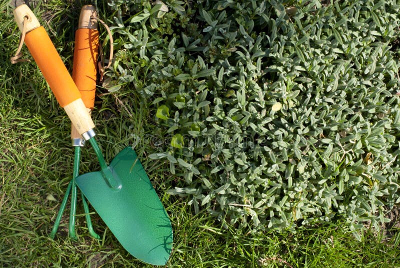 Garden tools stock image. Image of agriculture, growth - 30905453