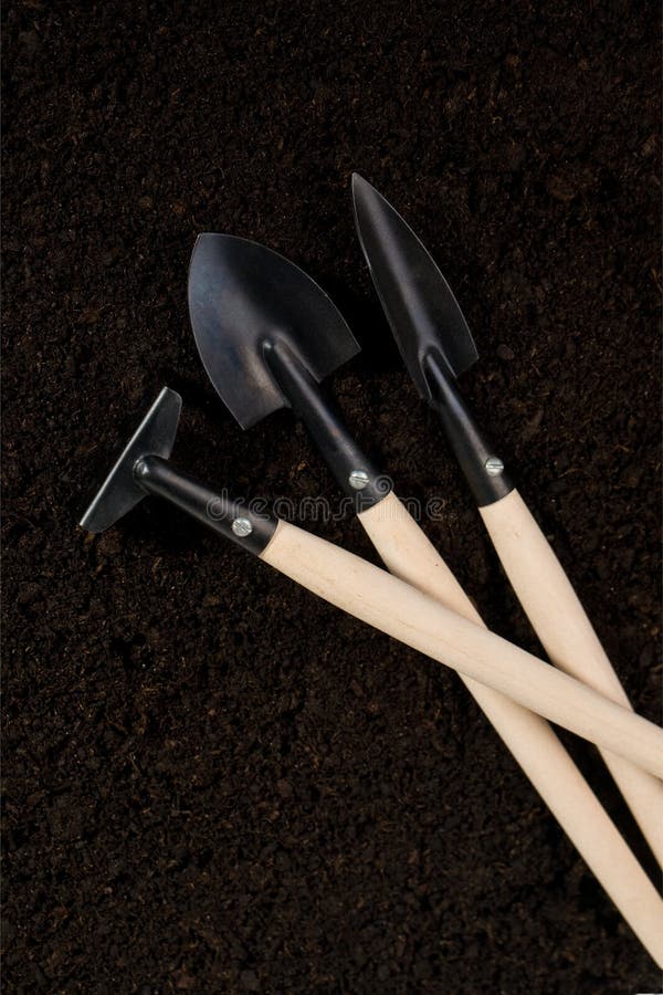 Soil for planting stock photo. Image of background, dirt - 30472624