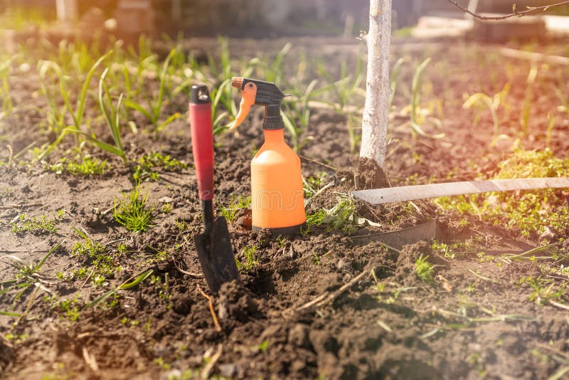 Garden Tools in Soil, Gardening Stock Photo - Image of dirt, background ...