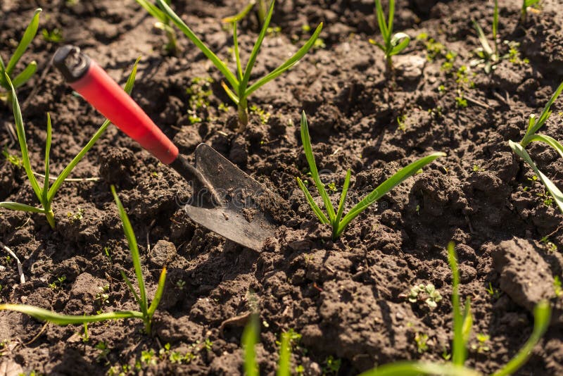 Garden Tools in Soil, Gardening Stock Photo - Image of worker, tool ...