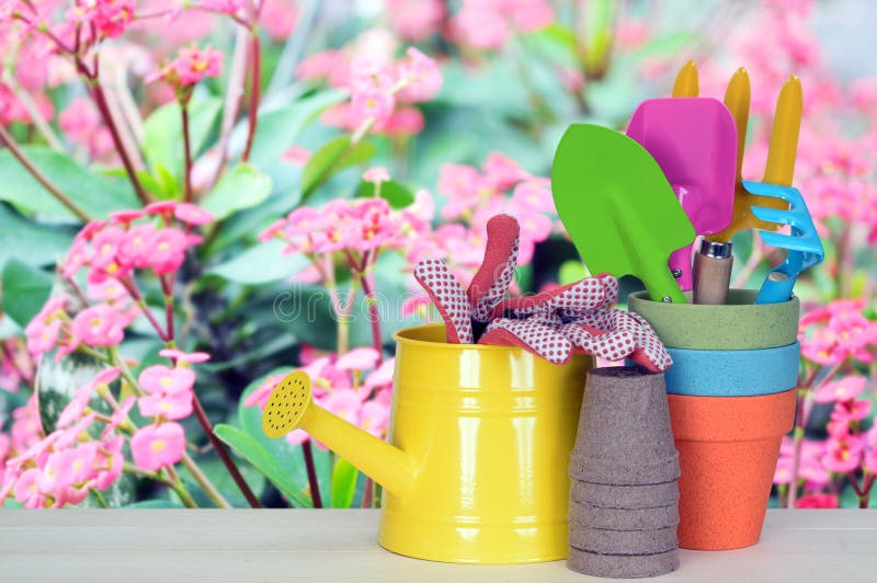 Garden tools stock image. Image of rake, shovel, wood - 50704727