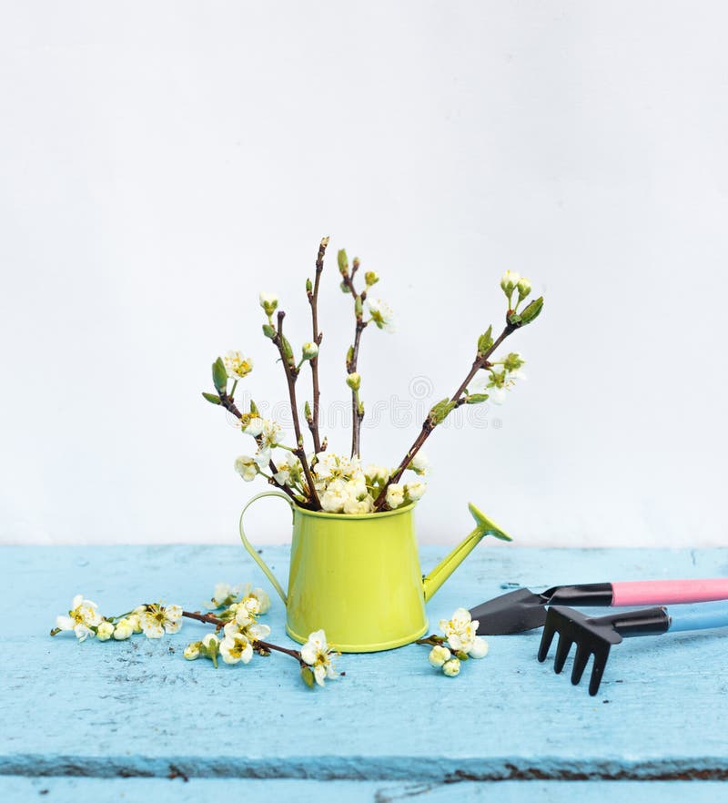Garden Tools in a Vase with Spring Flowers on a Light Background. Stock ...