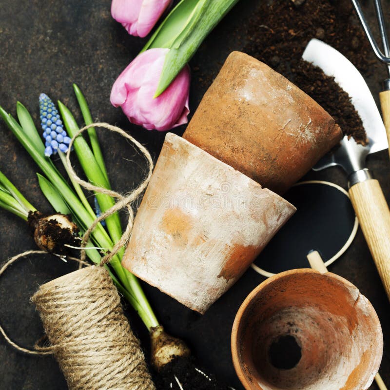 Garden tools stock image. Image of potting, plant, garden - 66701039
