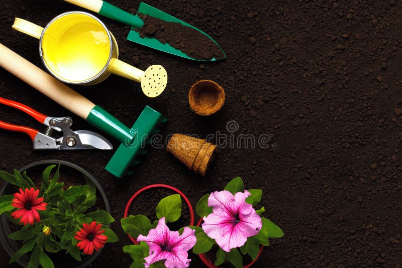 Flowers in Pots Seedling Gardening Tools on Soil Background Stock Image ...