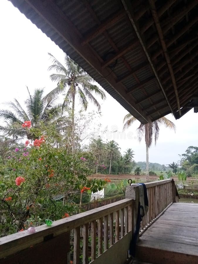 Garden Traditional View at Indonesia Stock Photo - Image of tree ...