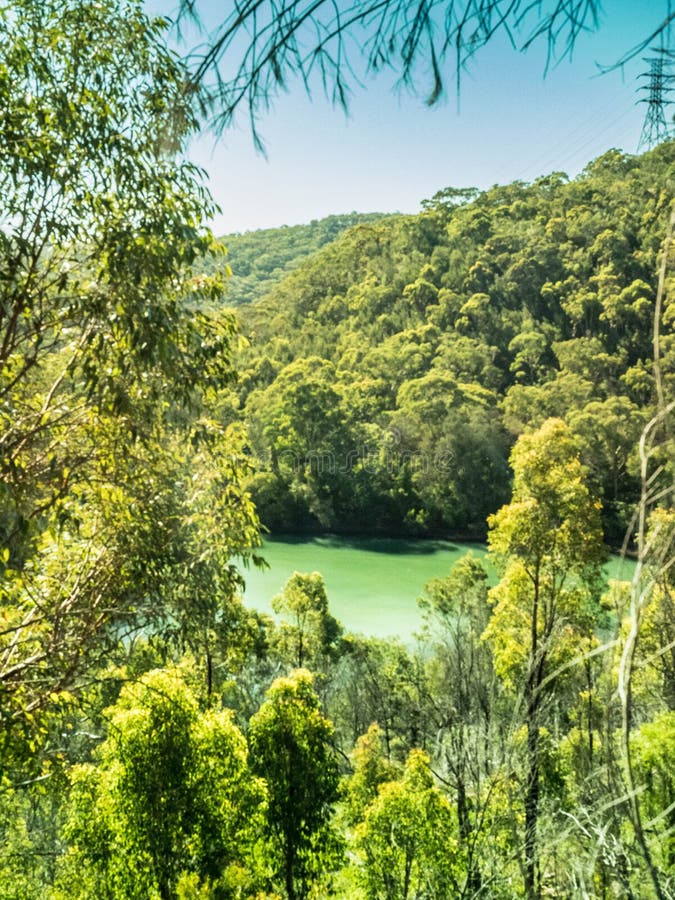 Garden and tree stock photo. Image of clean, outdoor - 92002096