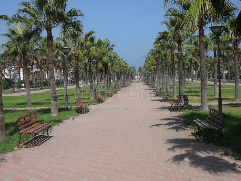 Garden sidi rahhal morocco stock image. Image of garden - 127132379