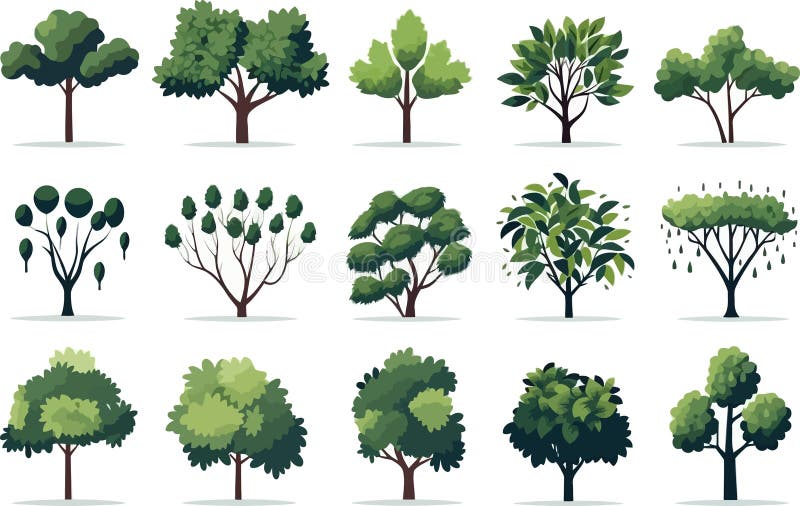 Garden Trees Set Isolated Vector Style Illustration Stock Vector ...