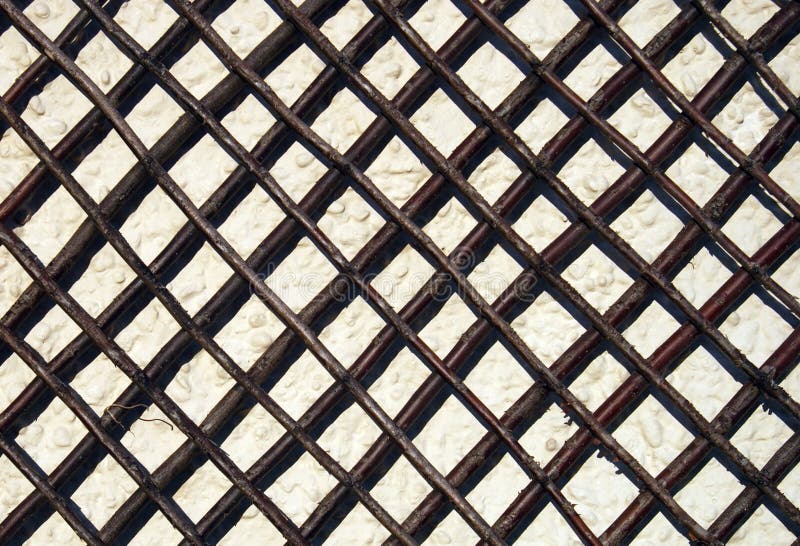 Garden Trellis on Wall stock photo. Image of grow, support - 9677568