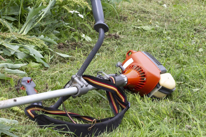 217 Trimer Grass Stock Photos - Free & Royalty-Free Stock Photos from ...