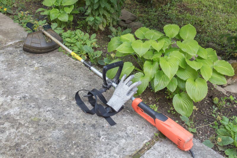 Garden trimmer and tools stock photo. Image of soil - 196722214