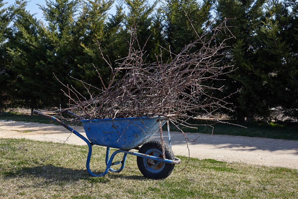 Garden Trolley with Tree Branches after Pruning Stock Image - Image of ...