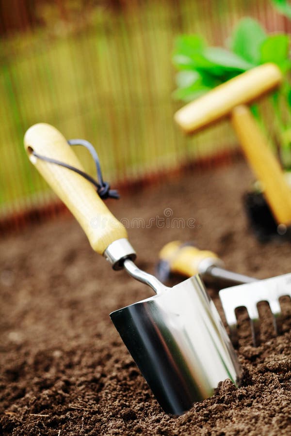 Garden trowel in soil stock photo. Image of garden, herbs - 24890598