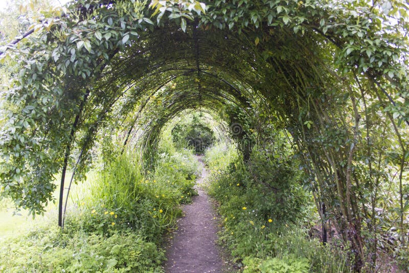 Garden Tunnel stock photo. Image of corridor, life, tunnel - 77938140