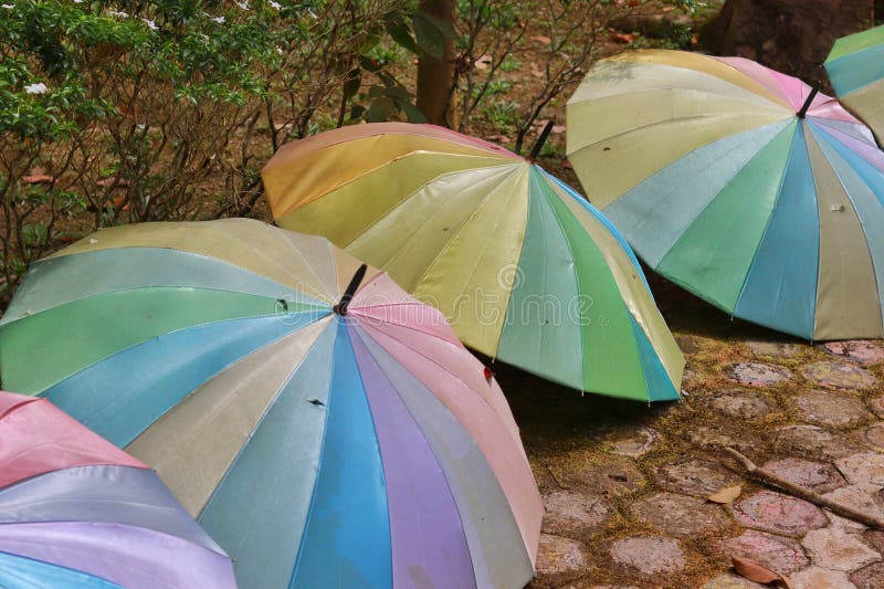 Garden Umbrella, Umbrella with Colorful Design Editorial Photography ...