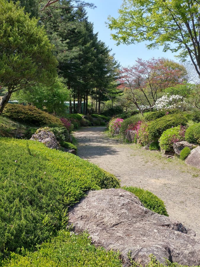 Garden, Vegetation, Plant, Tree Stock Photo - Image of yard ...