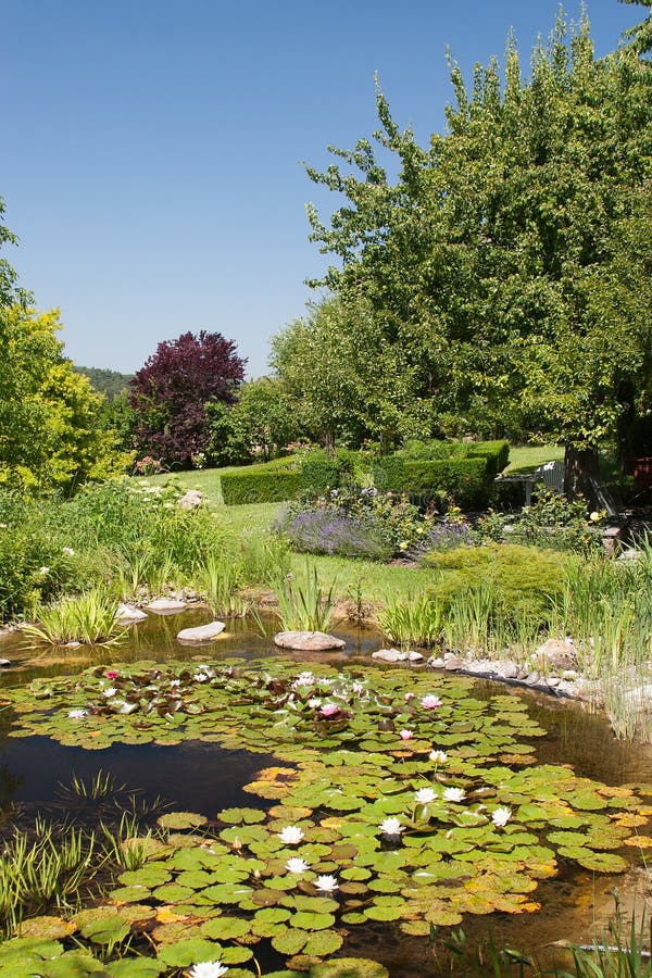 Garden View Over a Small Pond Stock Image - Image of green, scenery ...