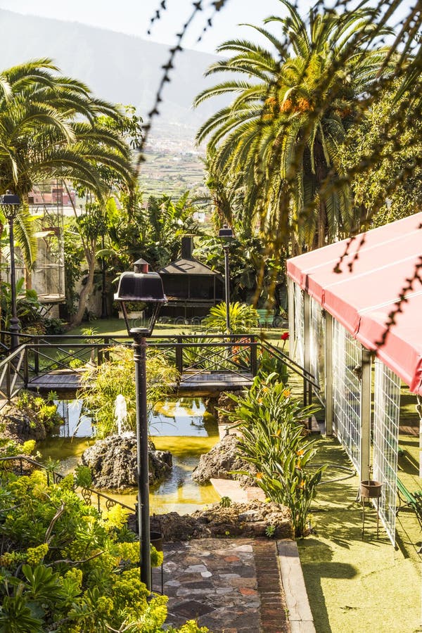 Solarium Flowers Stock Photos - Free & Royalty-Free Stock Photos from ...