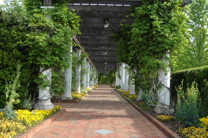 Garden path stock photo. Image of orange, path, walk, garden - 9838590