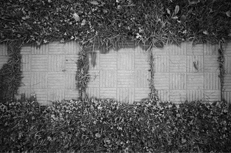 Garden Walk between Grass from Above Background Stock Image - Image of ...