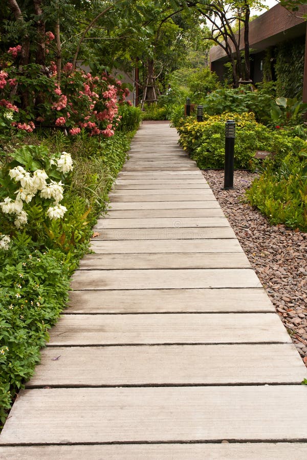 Garden walk stock photo. Image of forest, green, park - 41439616