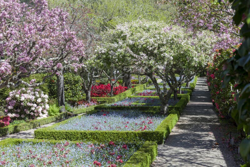 Garden Walk stock photo. Image of hedge, california, colorful - 89756894
