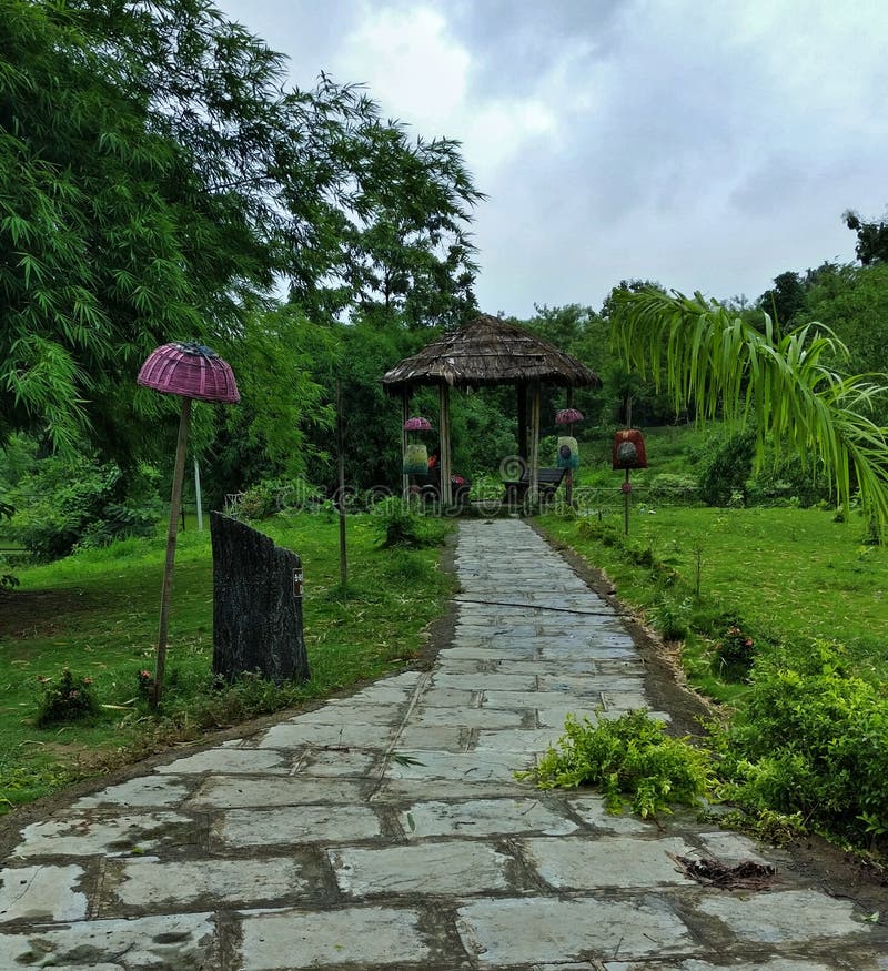 Garden - walkway stock photo. Image of nature, green - 98742750