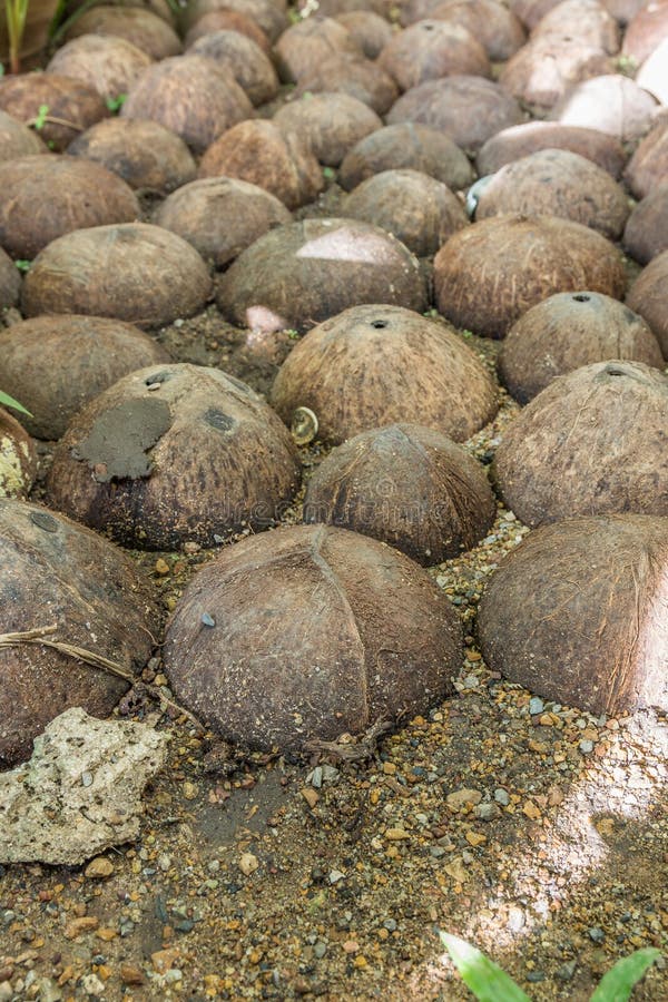 Garden Walkway Paved from Coconut Shells Stock Image - Image of health ...