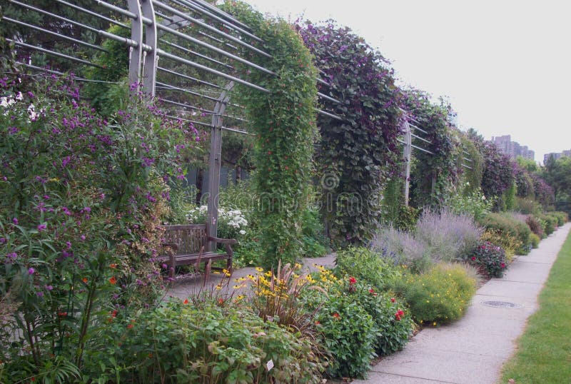 Garden Walkway stock photo. Image of explore, close, bench - 53929326