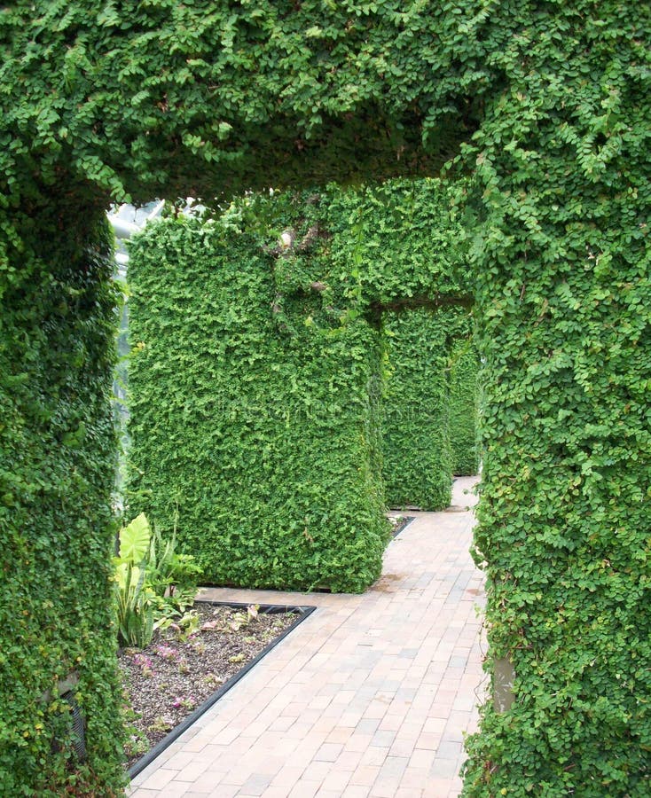 Garden Walkway stock photo. Image of close, family, garden - 53929356