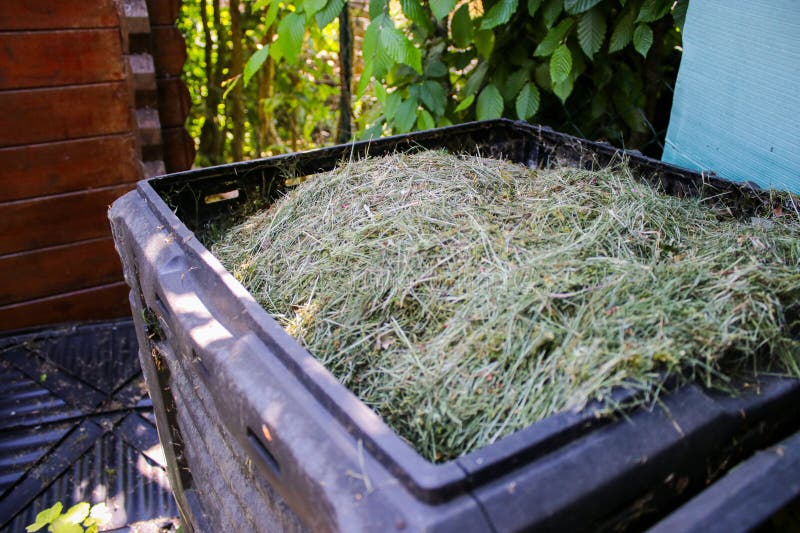 Garden Waste Collection Collapsable Bag in Garden Stock Photo - Image ...